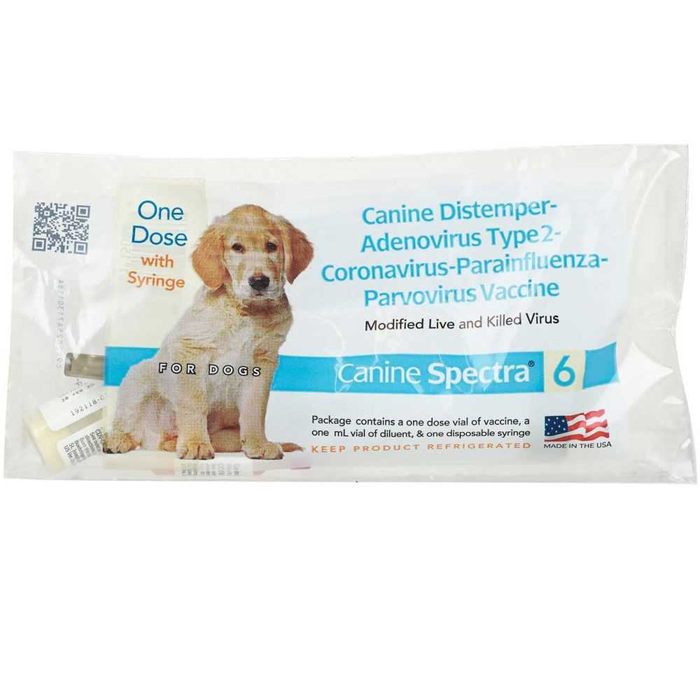 Canine Spectra 6 Dog Vaccine 1 Dose | On Sale | EntirelyPets