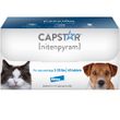 Capstar Blue for Dogs or Cats (6 Tablets) | EntirelyPets