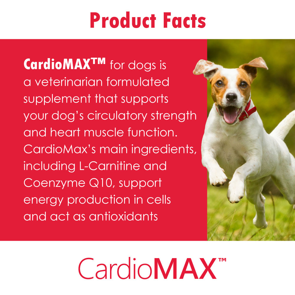 CardioMAX Heart Support for Dogs (60 Soft Chews) | On Sale | EntirelyPets