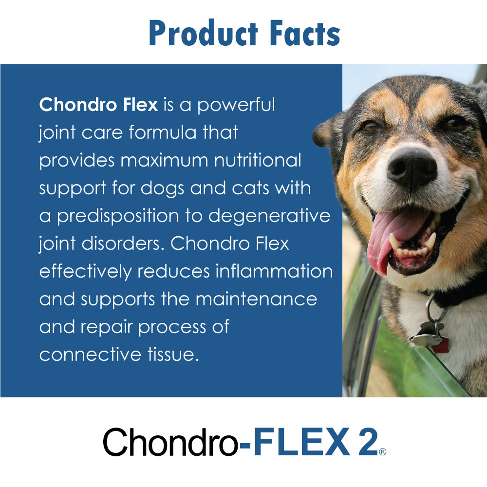 Chondro Flex II (120 Chewable Tablets) | On Sale | EntirelyPets