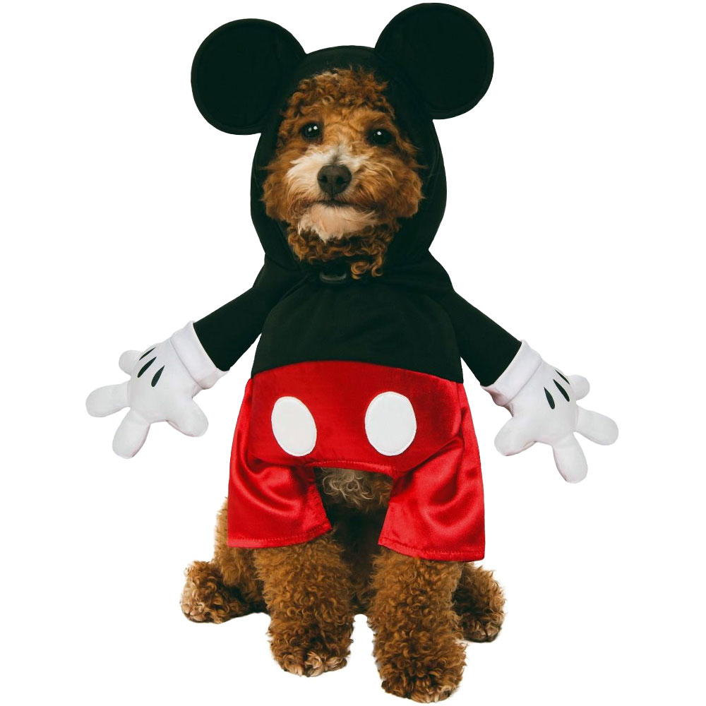 Shop Dog and Cat Halloween Costumes | EntirelyPets
