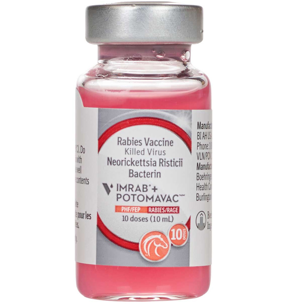 Equine Potomavac + Imrab Vaccine, Killed Virus, 10mL | On Sale ...