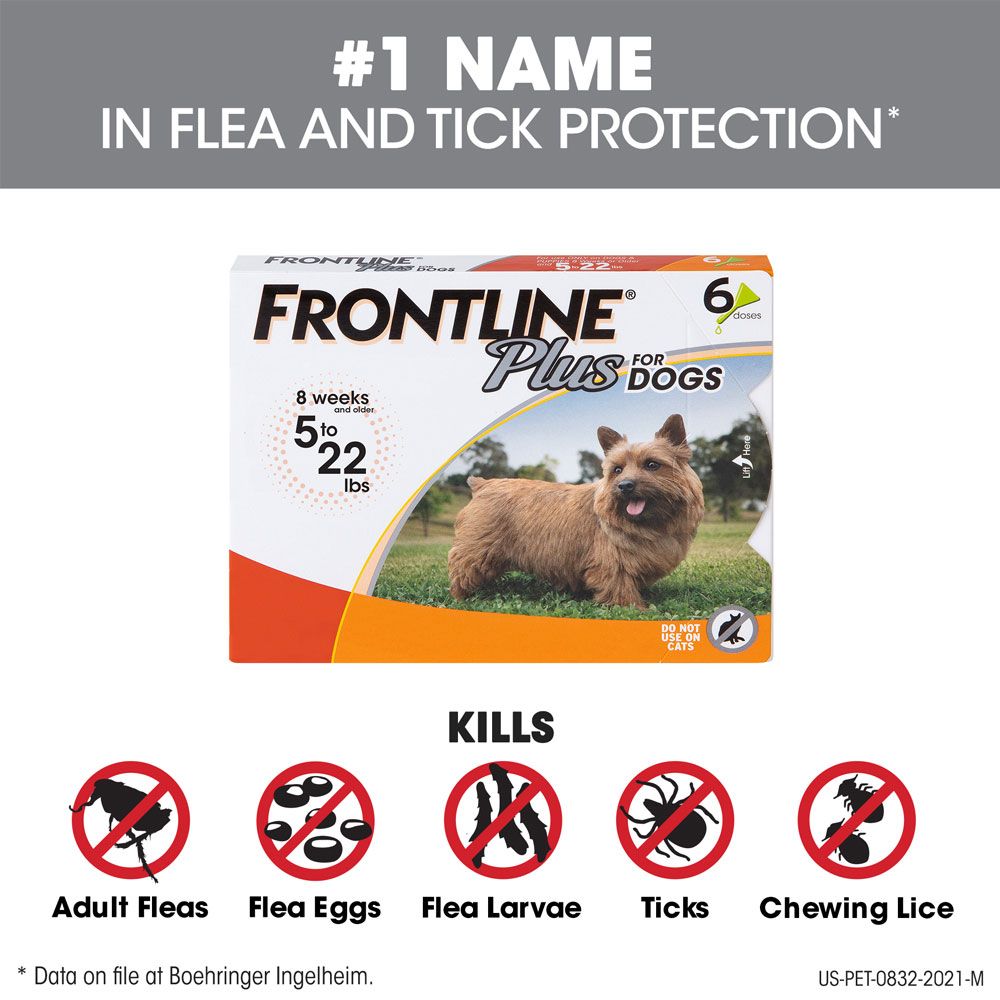 Frontline Plus for Small Dogs - Orange 6 Month