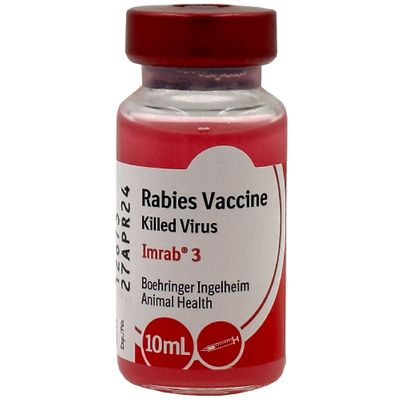 Merial Rabies Vaccine Imrab 3 (10-dose vials) - for dogs & cats | On ...