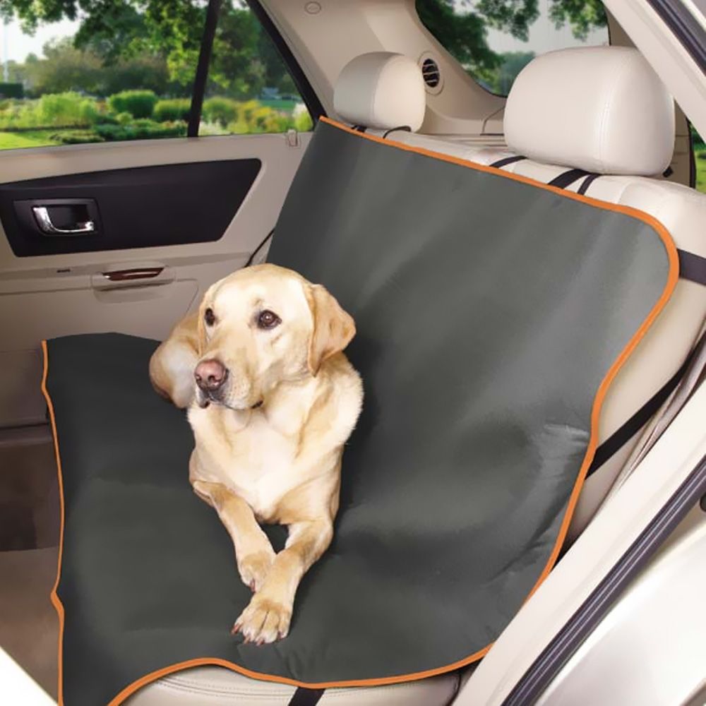 Dog shield for car store