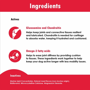 Joint MAX TRIPLE Strength (120 CHEWABLE TABLETS) | Joint MAX for Arthritis