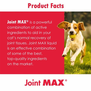 Joint MAX TRIPLE Strength (120 CHEWABLE TABLETS) | Joint MAX for Arthritis