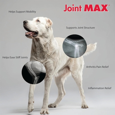 Joint MAX TS Soft Chews for Dogs (240 chews)|EntirelyPets