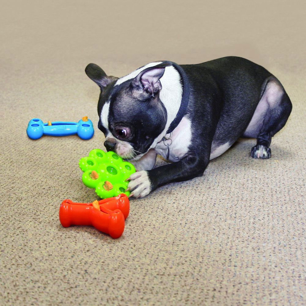 KONG Quest Bone (Small Assorted)