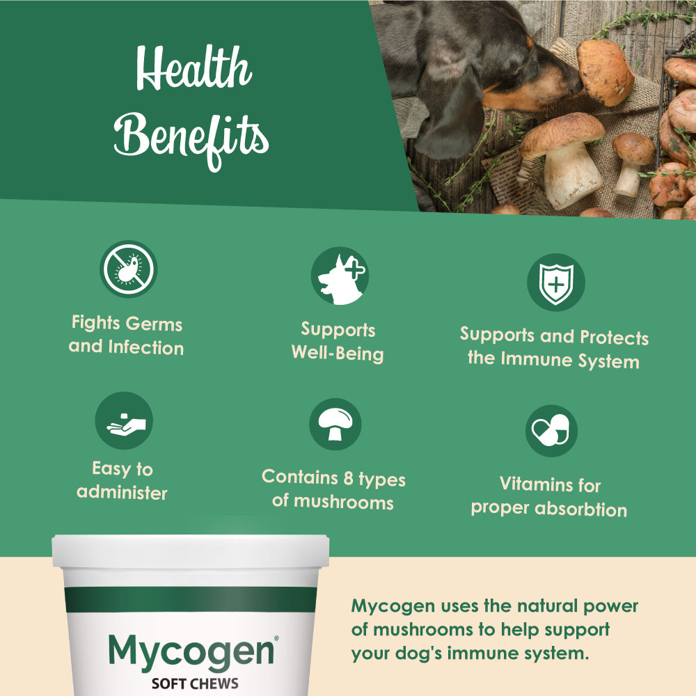Buy Mycogen - Immune System Supplement for Dogs - EntirelyPets