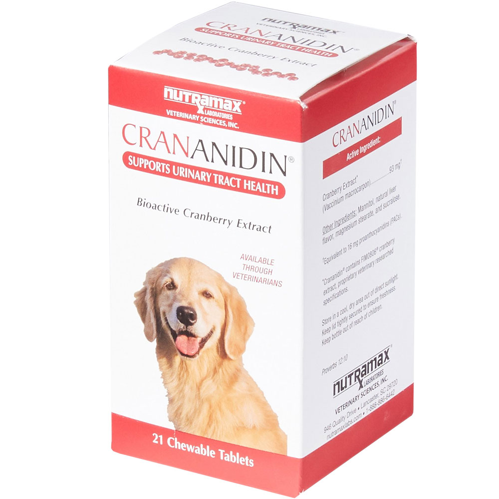 Urinary Tract & Bladder Support | EntirelyPets