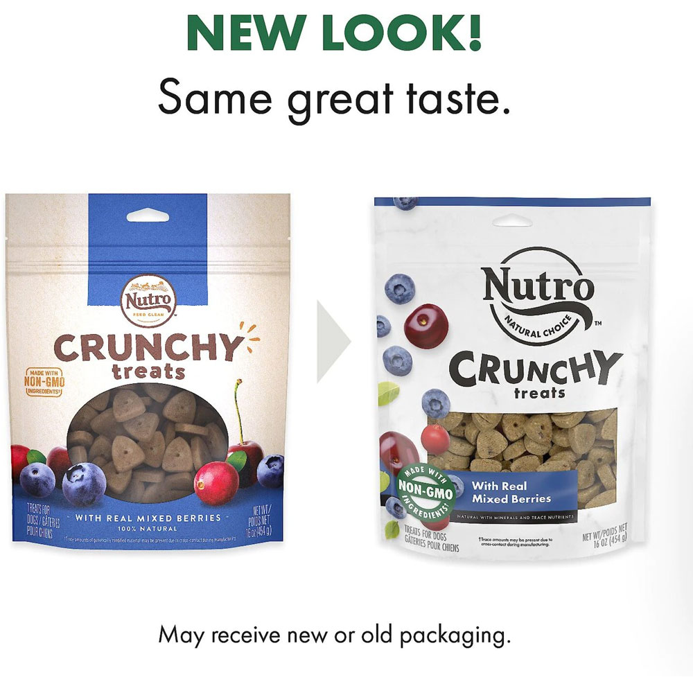 Nutro Small Crunchy Natural Dog Treats with Real Mixed Berries (16 oz ...