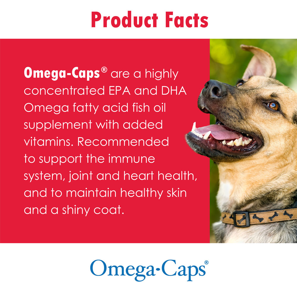 Omega-Caps ES For Large & Giant Dogs (250 Softgel Capsules) | On Sale ...