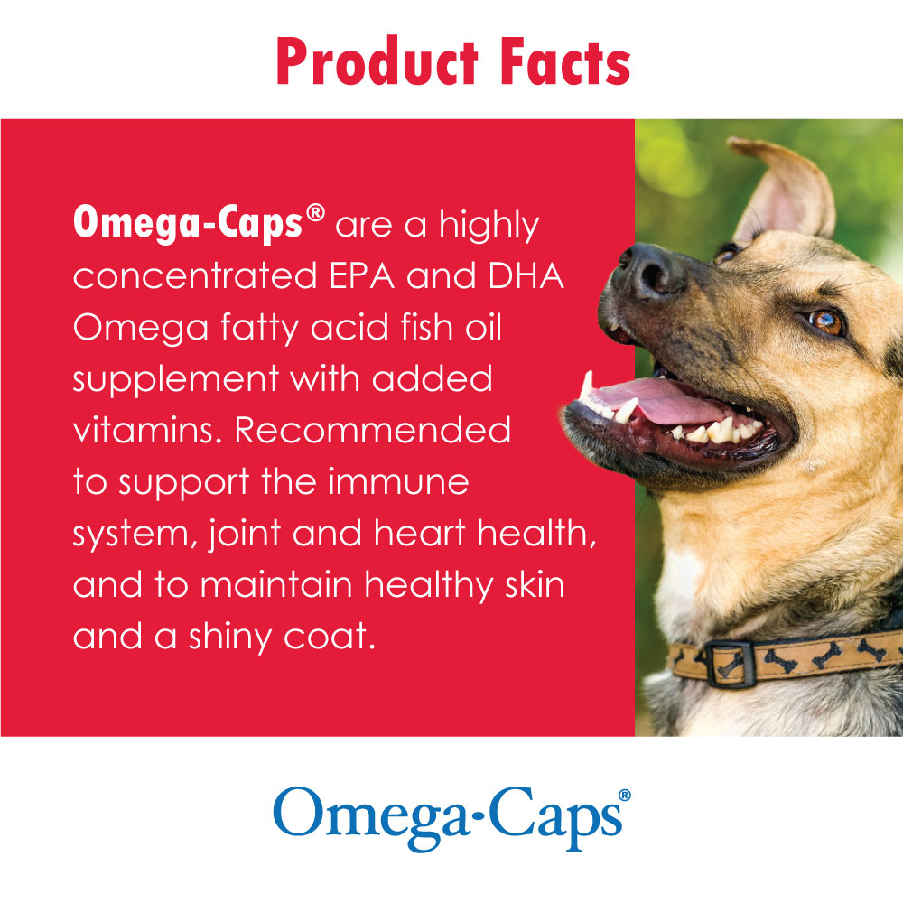 Omega-Caps ES Liquid (8 fl oz) | On Sale | EntirelyPets
