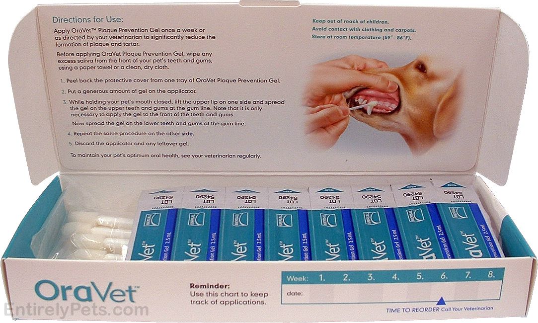 Oravet 8 x 2.5 ml treatments + FREE Dental Treat