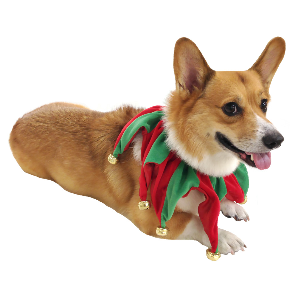 Pet Works Holiday Jester Collar w/ Bells (S) | EntirelyPets/HealthyPets