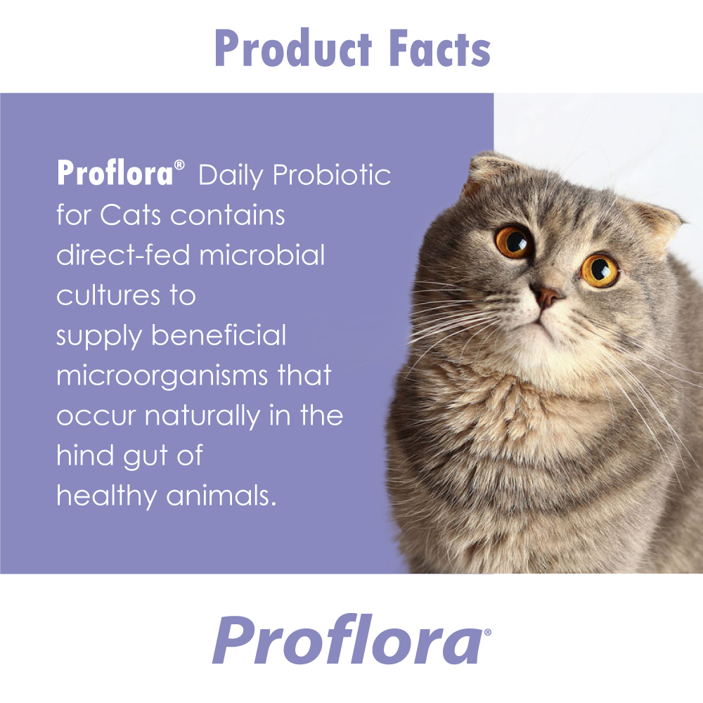 Proflora® Probiotic for Cats (30 Servings)