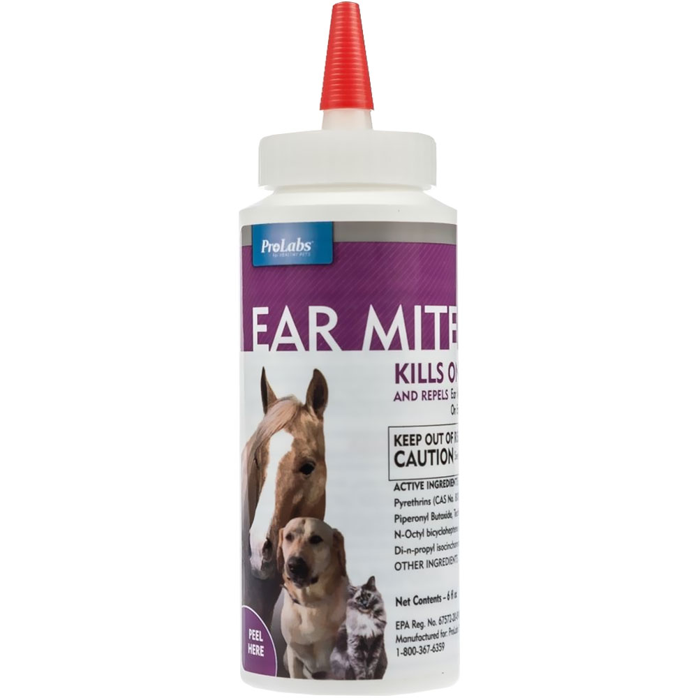 ProLabs Ear Mite Killer Lotion (6 oz) | On Sale | EntirelyPets