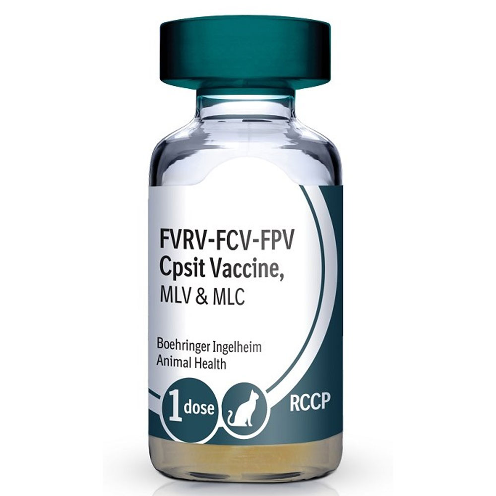 PUREVAX Feline 4, 0.5 ml dose (RCCP) 25x1 dose | On Sale | EntirelyPets
