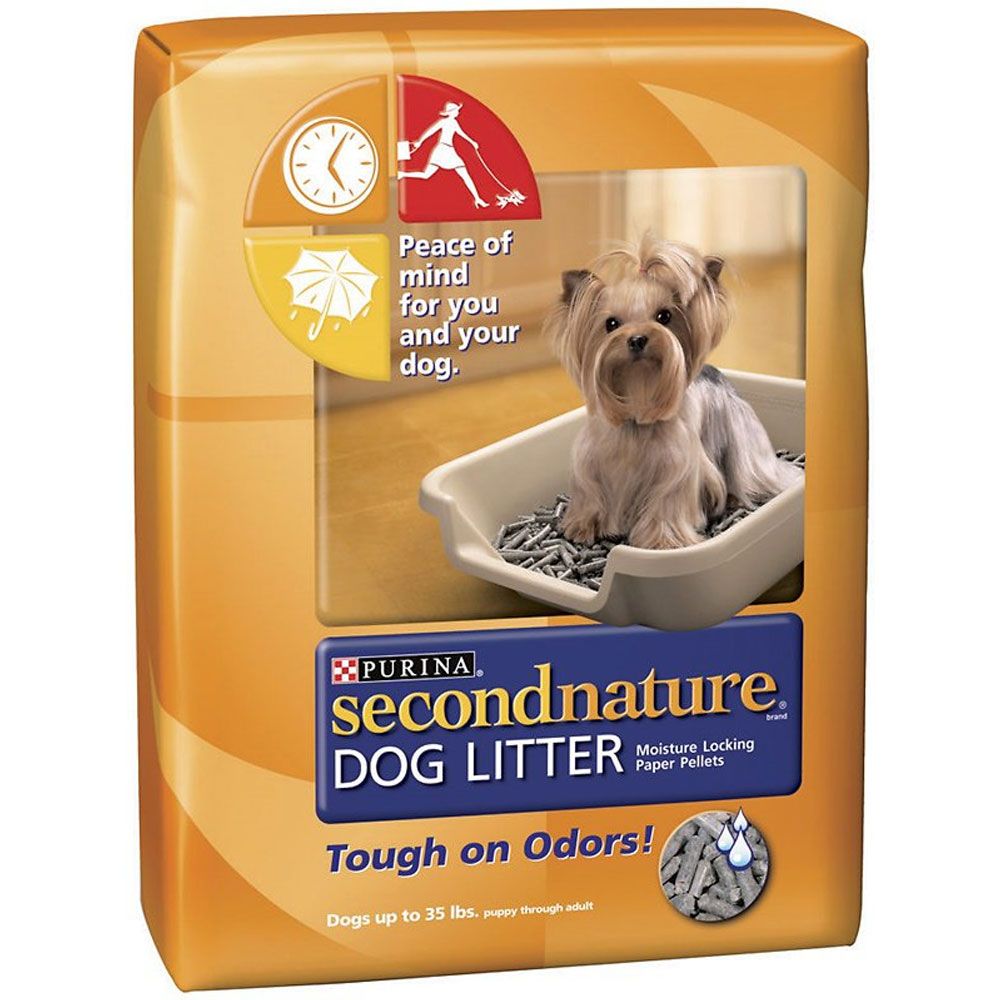 Litter & Litter Boxes | EntirelyPets