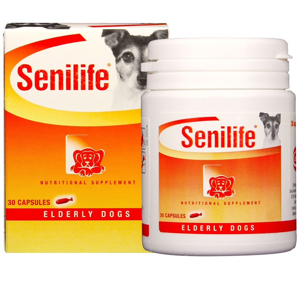 Buy Senilife for Elderly Cats and Dogs (Available Now)