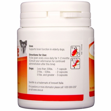 Buy Senilife for Elderly Cats and Dogs (Available Now)