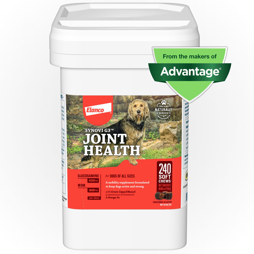Synovi G4 Dog Joint Supplement Chews, 240-Count, for Dogs of All Ages ...