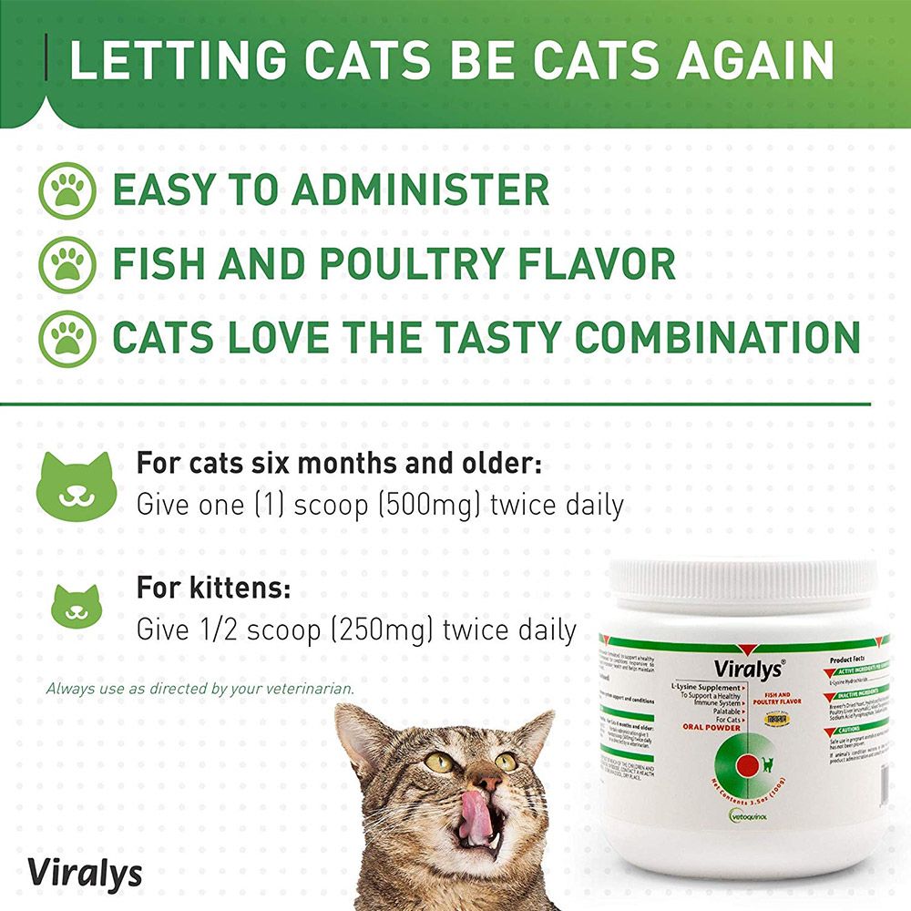 Buy Vetoquinol Viralys Powder for Cats L-Lysine (Available Now)