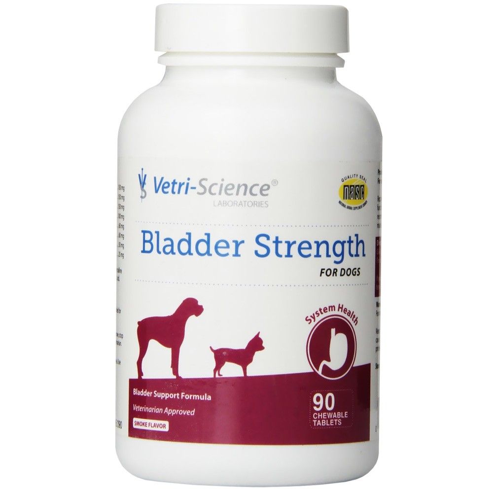 VetriScience Bladder Strength & Health | On Sale | EntirelyPets