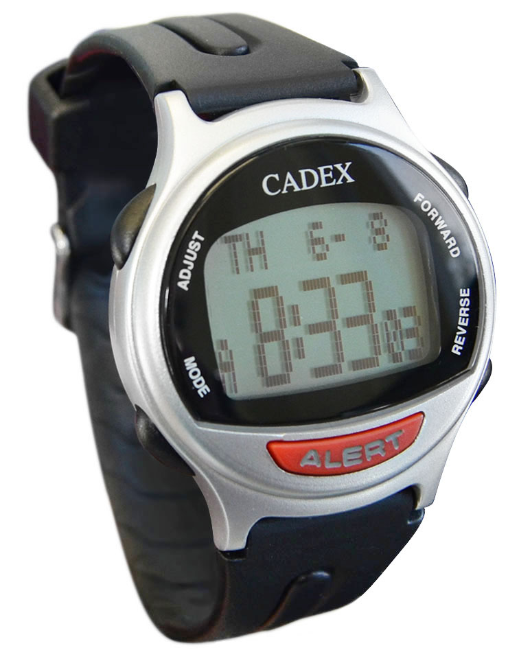 CADEX 12 Alarm Watch Silver