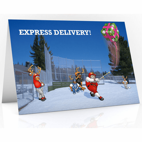 Baseball Santa and Reindeer Set of 6 Assorted Christmas Cards LESS THAN ...