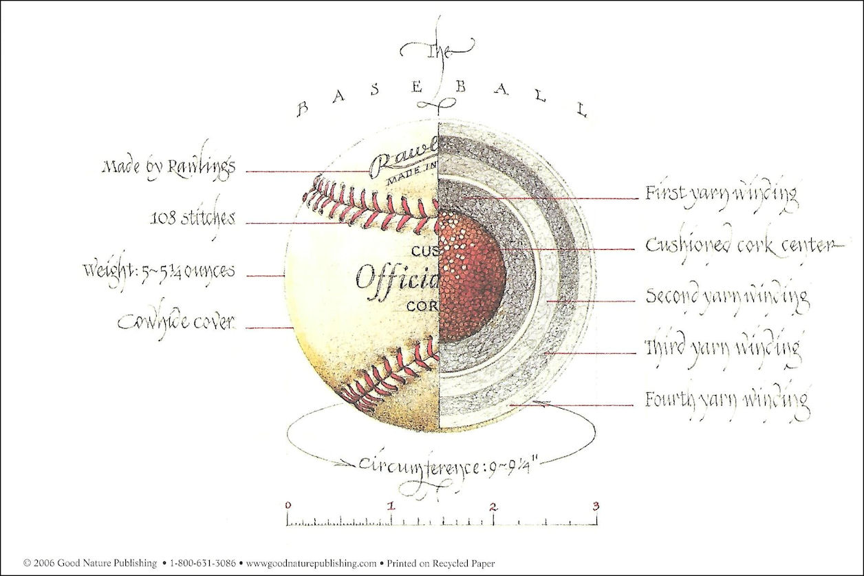 "Anatomy of Baseball" 18x24 Poster
