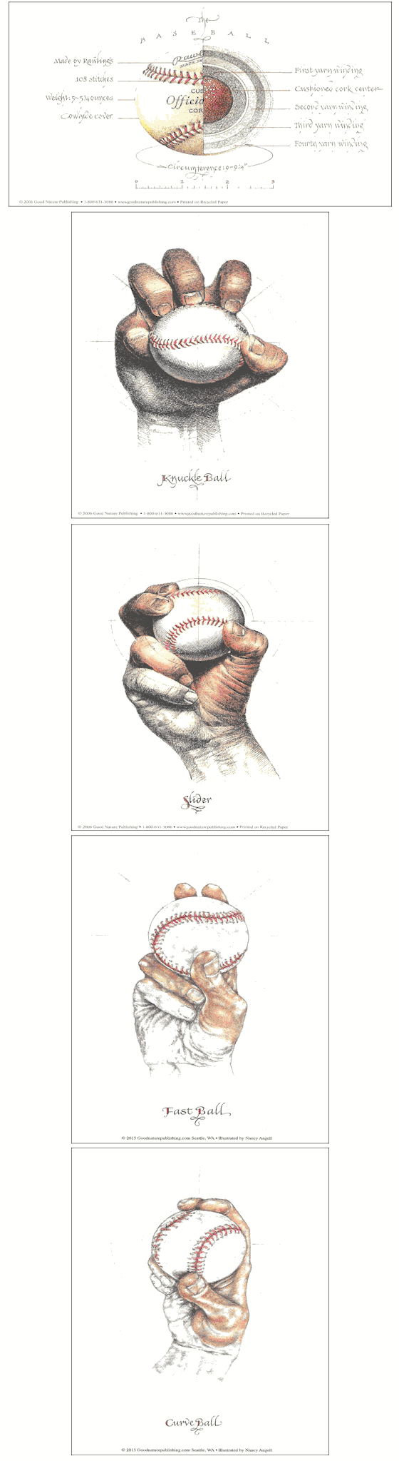 "Anatomy of Baseball" 6x9 Print