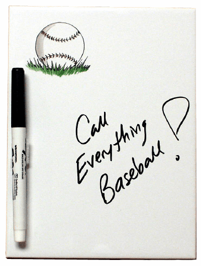 Baseball Kitchen and Bar Items