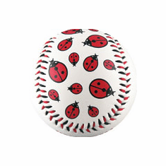 Baseballs Bats Canes