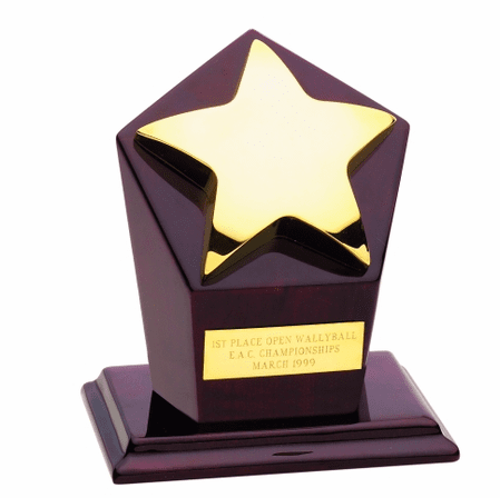 Gold Star Runner Up Award - Executive Gift Shoppe