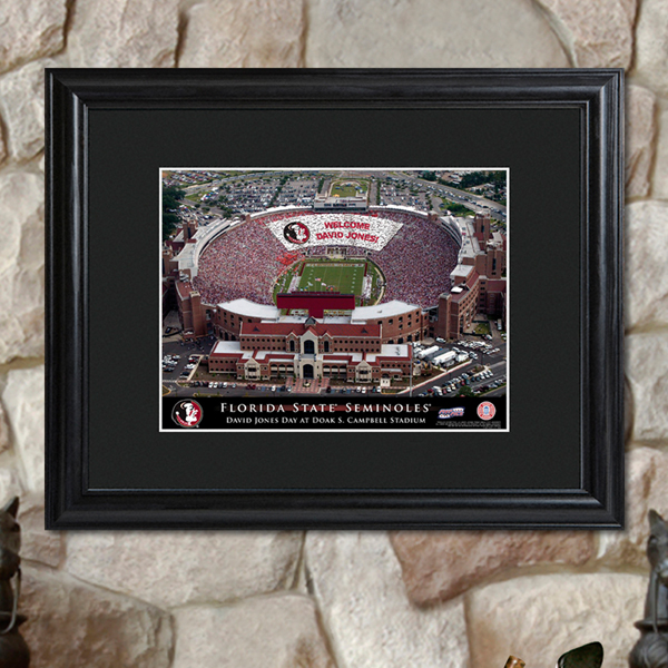 Personalized College Football Stadium Print with Wood Frame - Executive ...