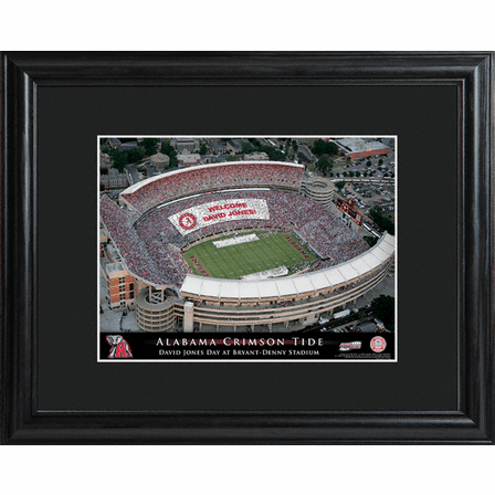 Personalized College Football Stadium Print with Wood Frame - Executive ...