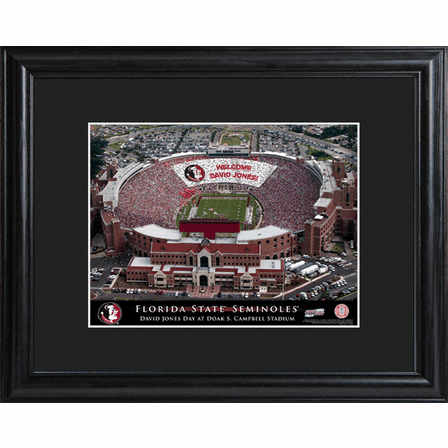 Personalized College Football Stadium Print with Wood Frame - Executive ...