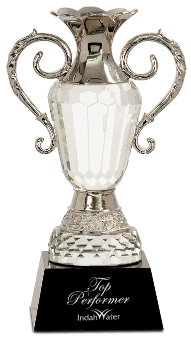 Premier Crystal Cup With Metal Handles And Black Crystal Base ...
