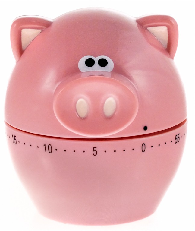 * Piggy Wiggy Timer