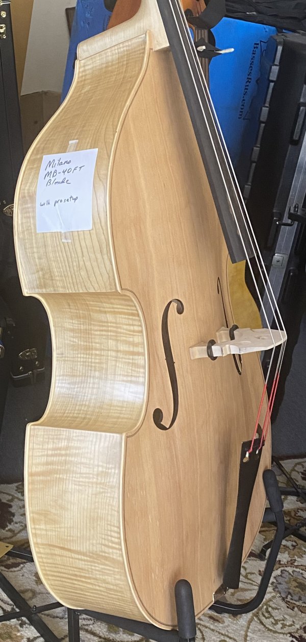 MB-40FT Flamed Maple Upright Bass Milano FMI Bass Blonde