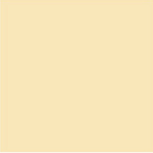 Rosco 02 Bastard Amber Lighting Gel Filter Roll 24"x25ft.- BarnDoor ...