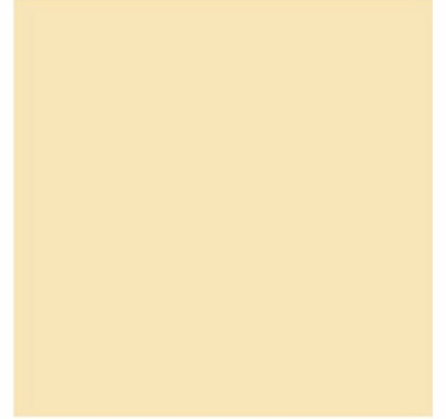 Rosco 02 Bastard Amber Lighting Gel Filter Roll 24"x25ft.- BarnDoor ...