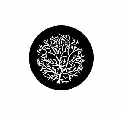 Rosco Bare Branches Reversed Standard Steel Gobo 77778 - BarnDoor