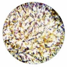 Rosco Glass Gobo Patterns - Gobos and Patterns