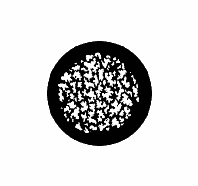 Rosco Leaf Breakup Medium Steel Gobo 77805 - Rosco Standard Steel ...