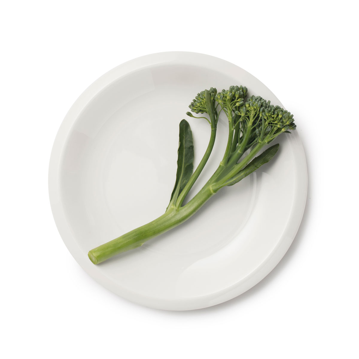 iittala Raami White Dessert Plate - iittala Raami Dinnerware ...