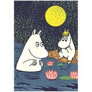 Moomin and the Comet Book - Moomin Books & Gifts