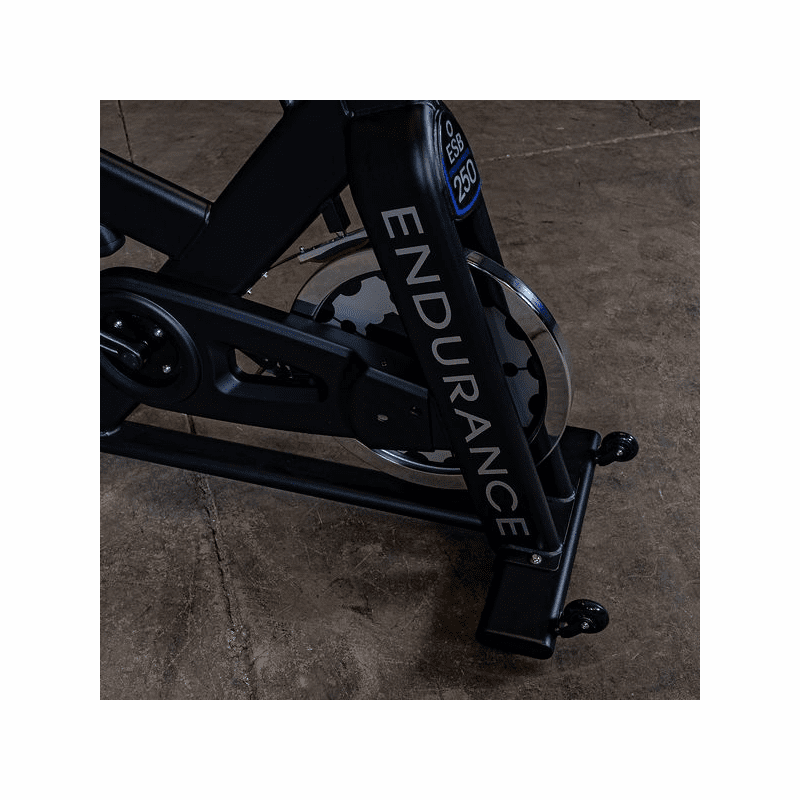 Body Solid ESB250 Endurance Exercise Bike